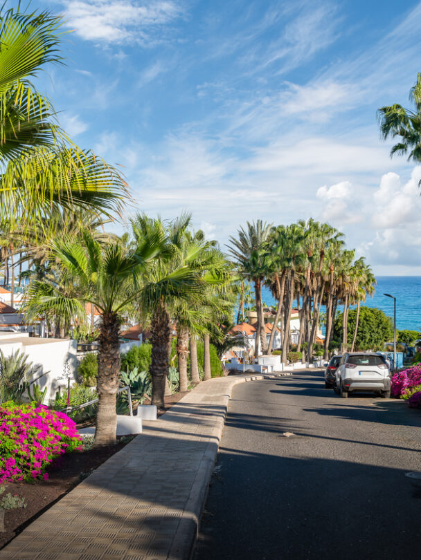 All-Women Hiking Tour in Priorat Region, Spain | 57hours
