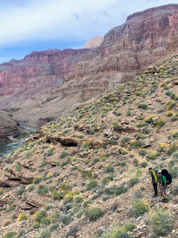 Women's Grand Canyon Rim-to-Rim Guided Tour | 57hours