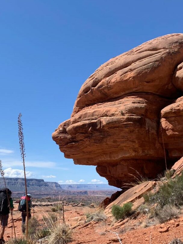 Rim-to-Rim: Hike the Grand Canyon With a Guide | 57hours