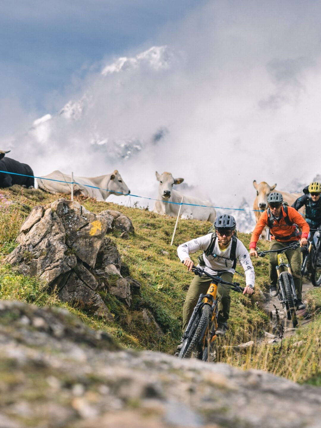 European Alps Bike Trips With Local Guides - 57hours