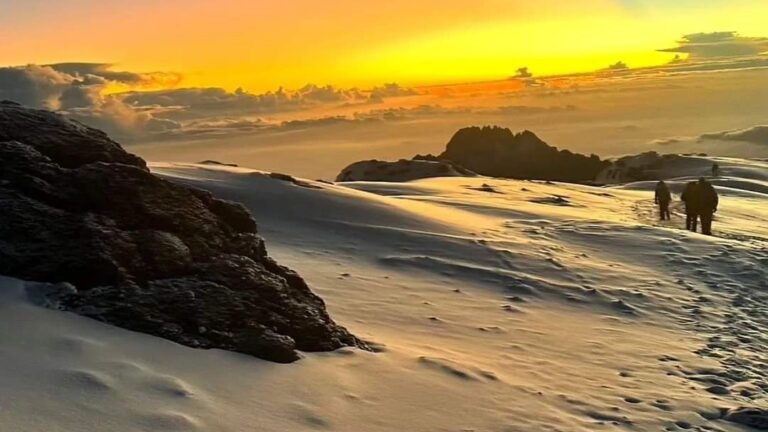 Rongai Route: 7 Days of Hiking to Mt. Kilimanjaro | 57hours