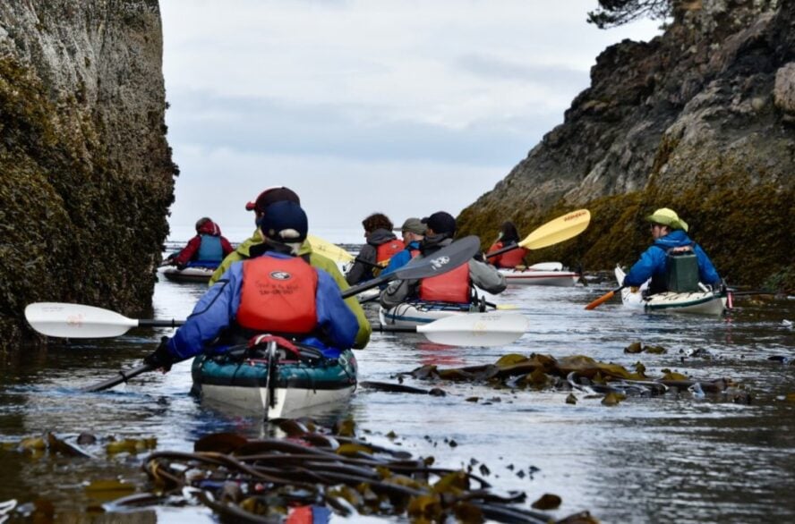 Johnstone Strait Kayak: BC’s Best Wilderness | 57hours