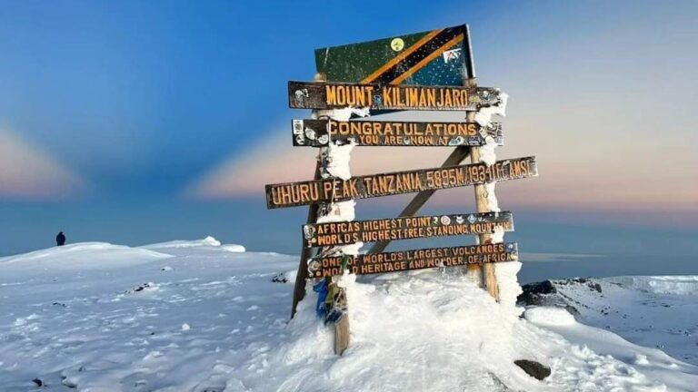 Rongai Route: 7 Days of Hiking to Mt. Kilimanjaro | 57hours