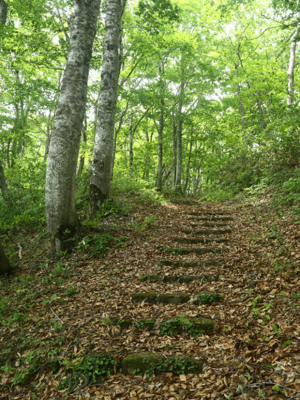 Seven-Day Mt Fuji Tour: Walk the Izu Geo Trail | 57hours