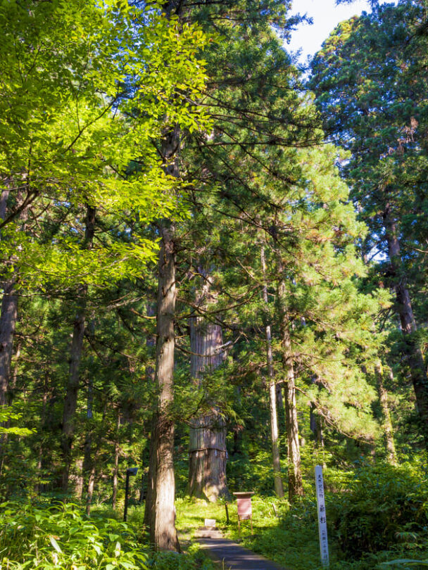 Michinoku Coastal Trail Tour: Hike Japan’s Seaside | 57hours