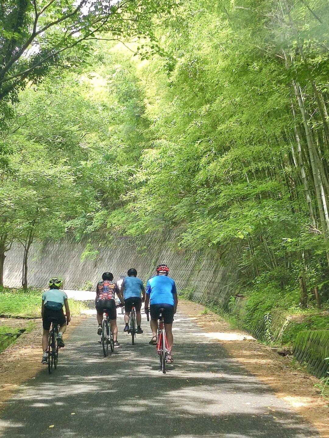 Japan Cycling Tours with Local Guides - 57hours