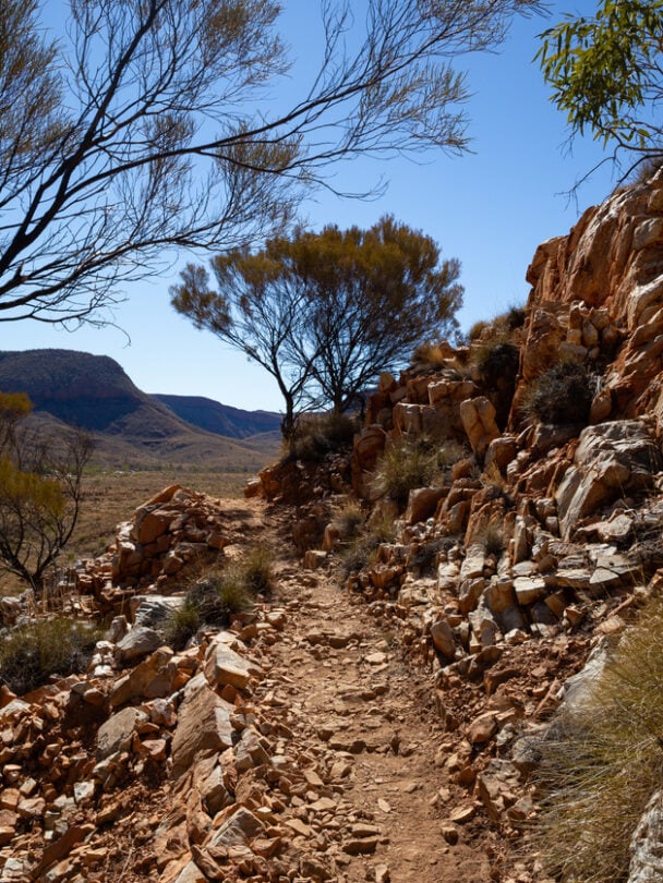 Guided Adventures in Larapinta Trail | 57hours