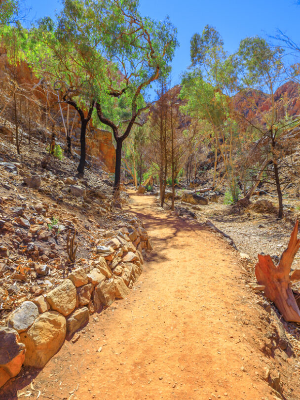 Guided Adventures in Larapinta Trail | 57hours